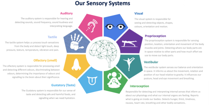 Why is SWINGING the BEST sensory game for your child? – Sims-Tools